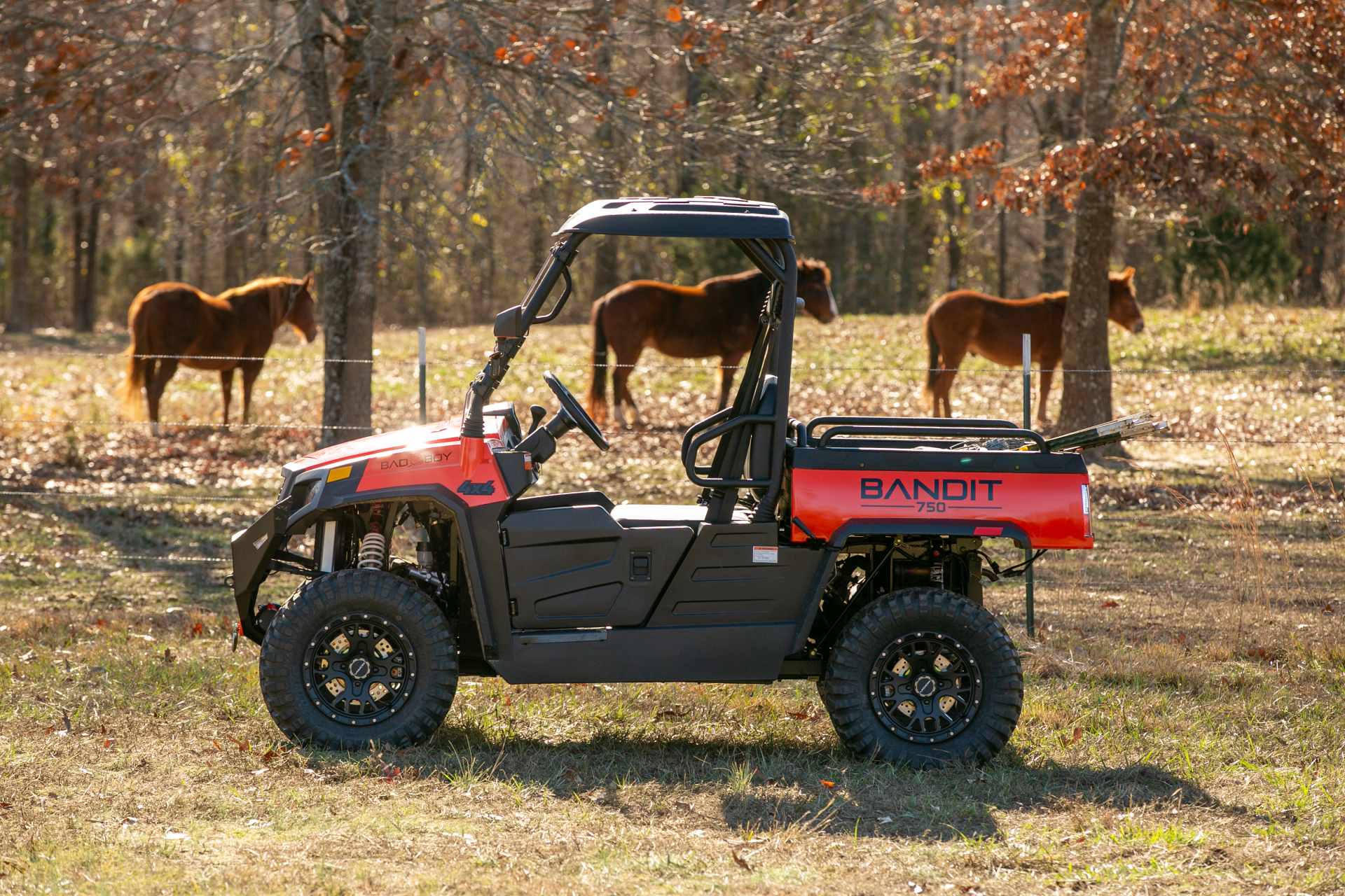 Bad Boy Bandit 750cc